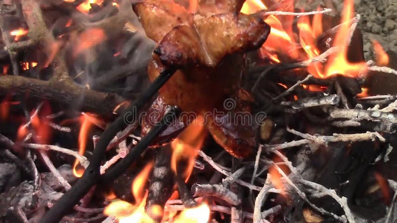 Roasting Sausages Over a Campfire in the Forest Stock Video - Video of ...