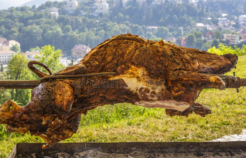 Roasting wild boar stock photo. Image of full, lunch - 43707726