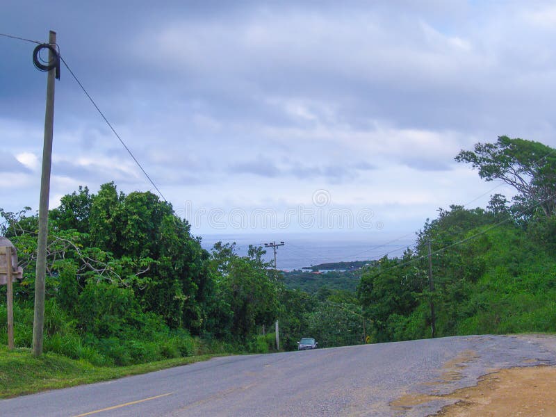 The Roatan Island Road with Trees at Honduras Stock Image - Image of ...