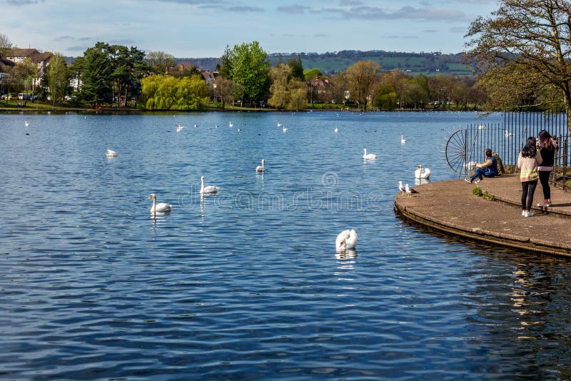 Roath Park, Cardiff, Wales stock image. Image of tree - 94818781