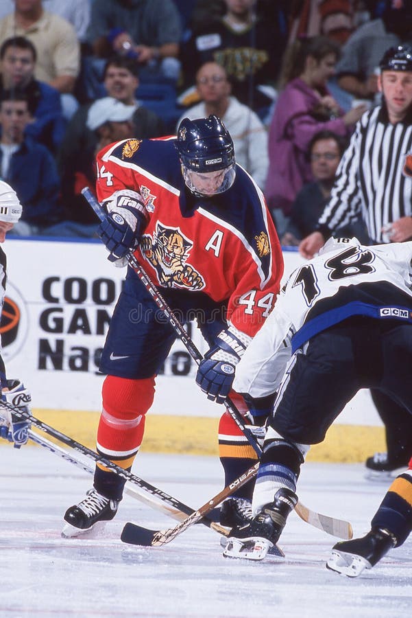 Rob Niedermayer fotografía editorial. Imagen de panteras - 138412962