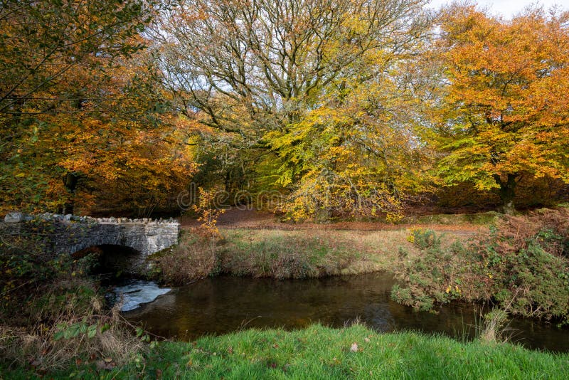 Robbers Bridge in Exmoor National Park Stock Photo - Image of beech ...