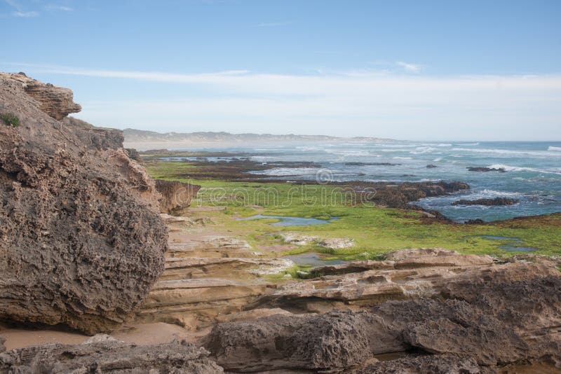 Robe Back Beach, South Australia Stock Photo - Image of flora ...