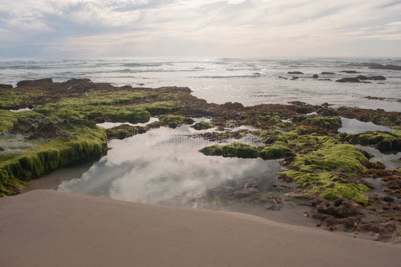 Robe Back Beach, South Australia Stock Image - Image of oceanfront ...