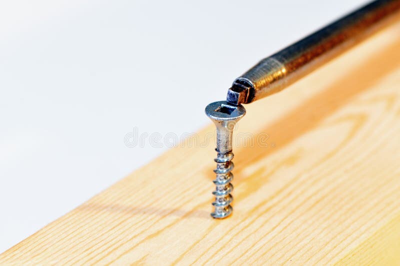 Robertson screwdriver stock photo. Image of square, tool - 21026110