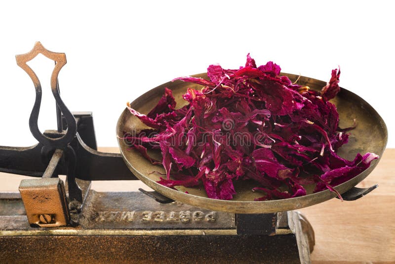 Roberval balance in studio stock photo. Image of natural - 230648022