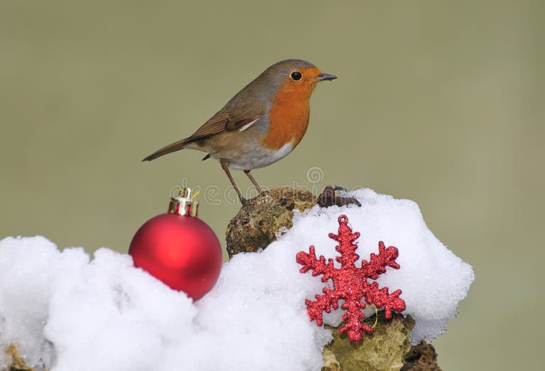 Robin Scheff Posters Stock Photos - Free & Royalty-Free Stock Photos ...