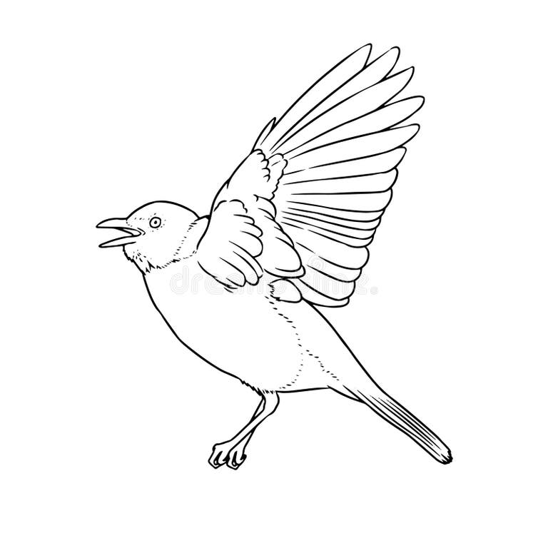 Round Robin Stock Illustrations – 365 Round Robin Stock Illustrations ...