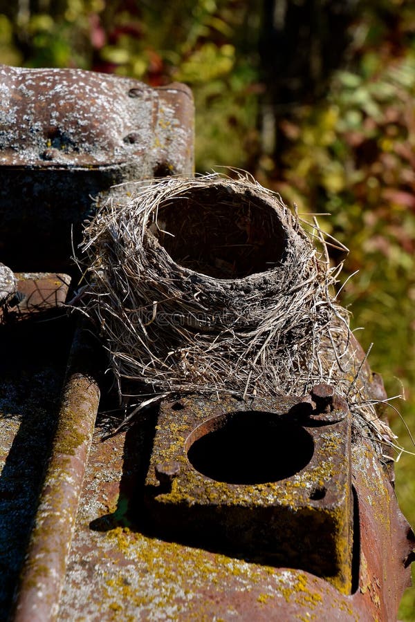 Bird Nest on Top of Block of an Old Tractor Engine Stock Image - Image ...