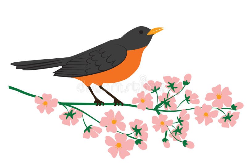 Robin bird stock vector. Illustration of sketch, blooming - 51232775