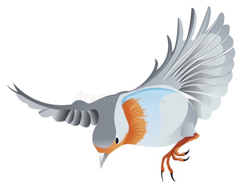 Flying Robin Clip Art