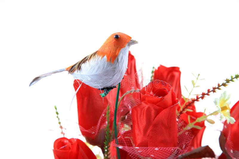Robin sur des fleurs image stock. Image du petit, clavettes - 19551057