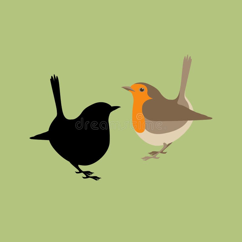 Robin. Vector Illustration of a European Bird. Stock Vector ...