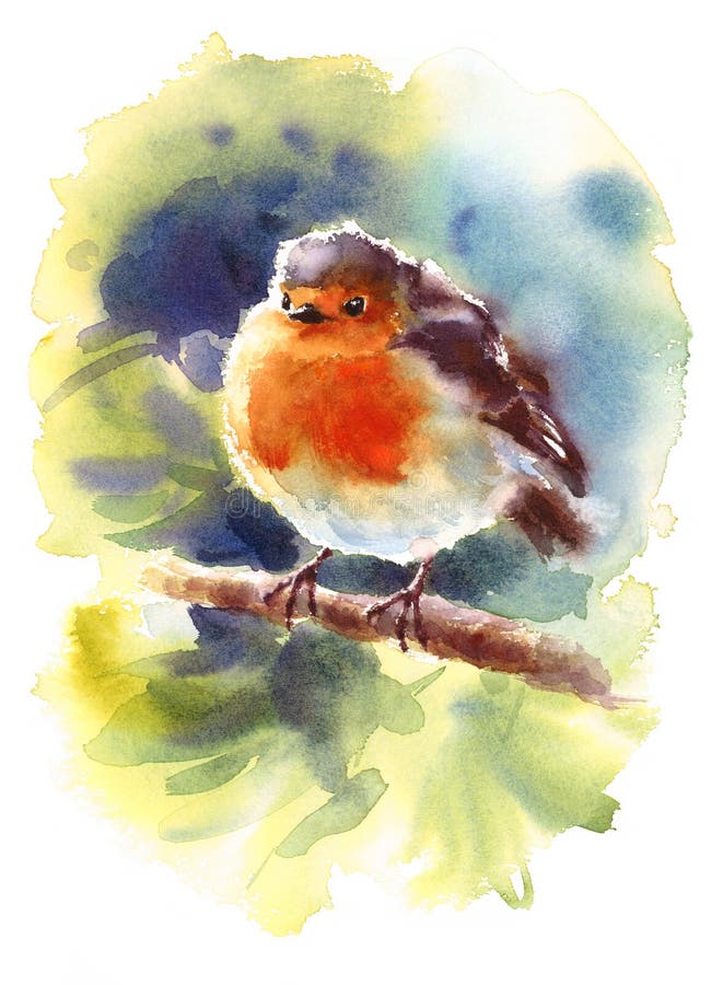 Robin Watercolor Bird Illustration Hand Painted Stock Illustration ...