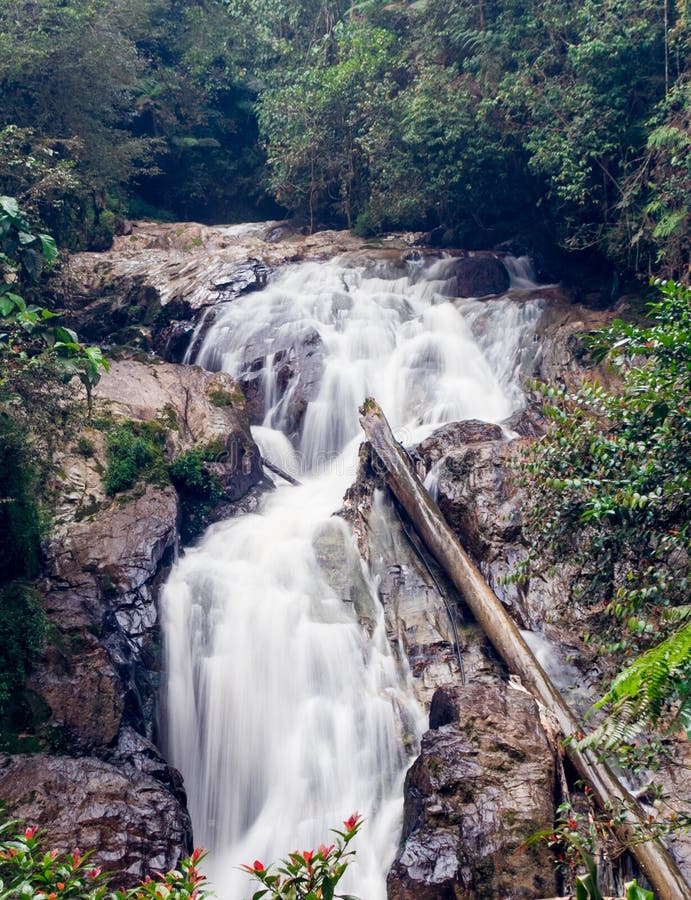Robinson Waterfall stock image. Image of cameron, lumpur - 70772407