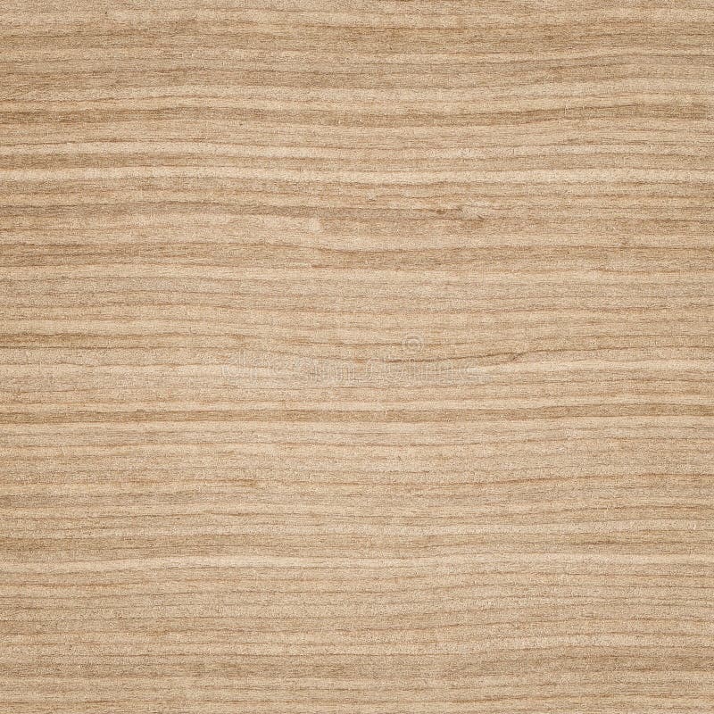 Roble blanco imagen de archivo. Imagen de fondo, material - 32876717