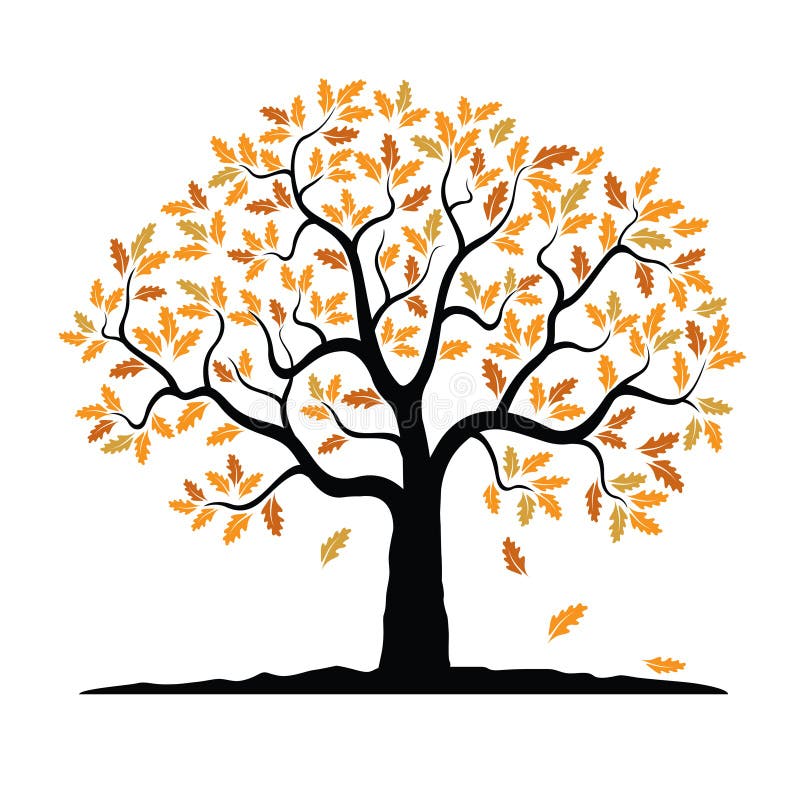árbol De Roble Vector Ilustraciones Stock, Vectores, Y Clipart ...