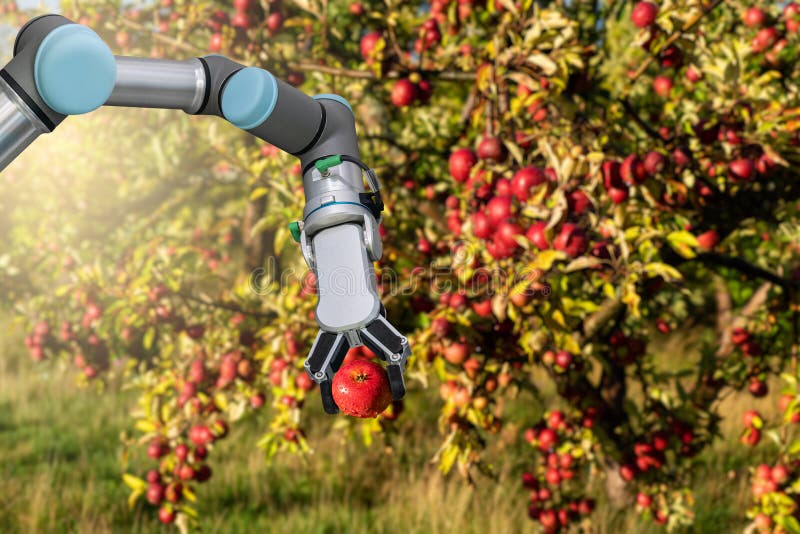 Robot Arm is Working in the Smart Farm. Stock Image - Image of growth ...