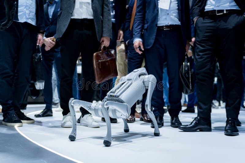 A Robot Dog Walking and Playing Around People at a Technology Trade ...