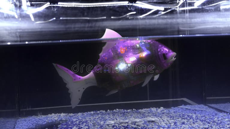 A Robot Fish in Aquarium. Media. Artificial Version of Robot Fish ...