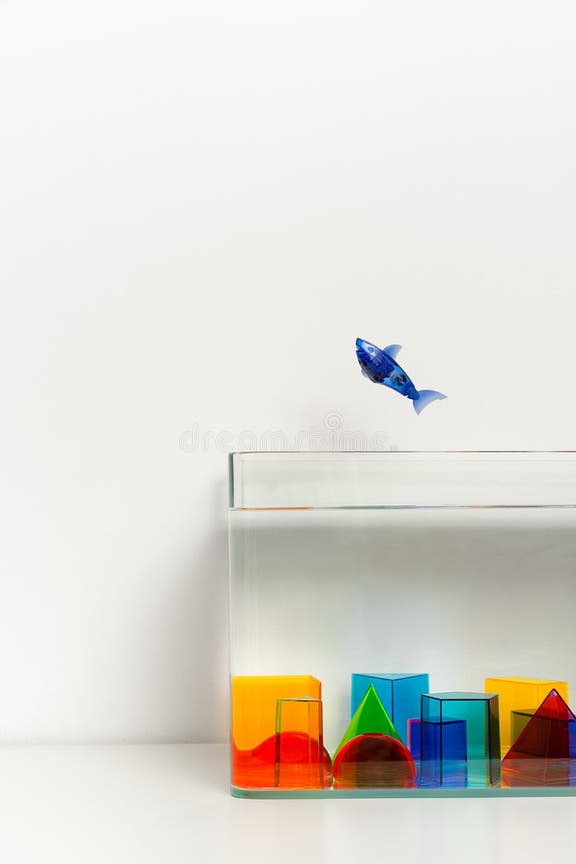 Robotic fish in aquarium stock image. Image of colored - 247480425