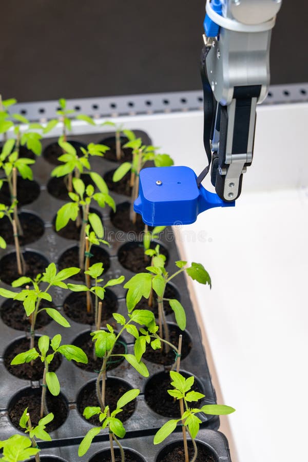 A Robot in a Greenhouse Evaluates the Quality of Tomato Seedlings Using ...