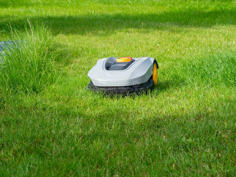 Robot Lawn Mower Mows the Lawn. Stock Image - Image of maintenance ...