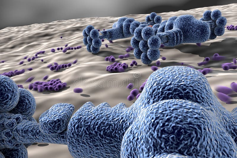 Robot Nani - Tecnologia Alla Nano-scala Fotografia Stock - Immagine di ...