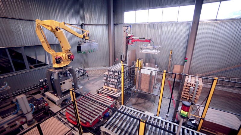 Robotic Arm Loading, Packing Products. Modern Automated Industrial ...