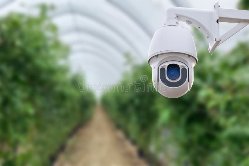 Robotic and CCTV Camera on Smart Green House . Stock Image - Image of ...