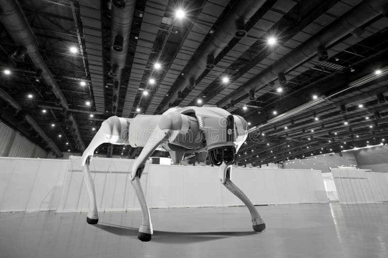 377 Robotic Cyber Dog Stock Photos - Free & Royalty-Free Stock Photos ...