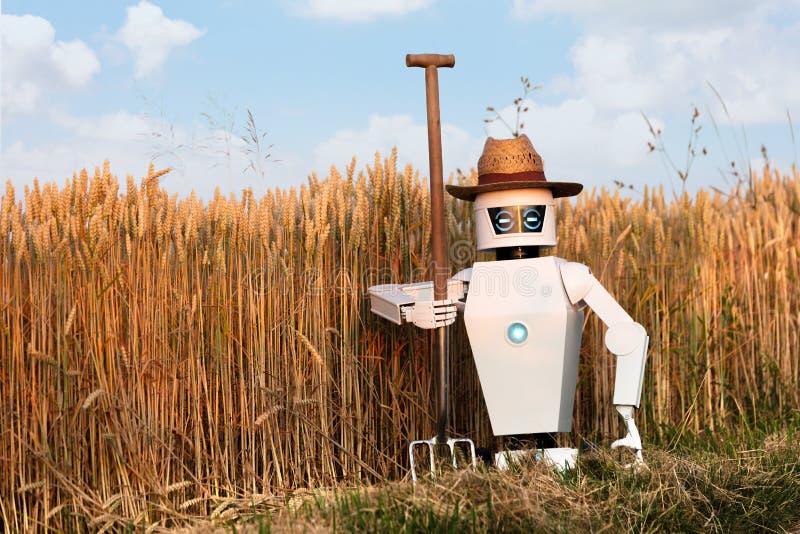 Robotic Farmer with a Pitchfork is Standing in Front of a Cornfield ...