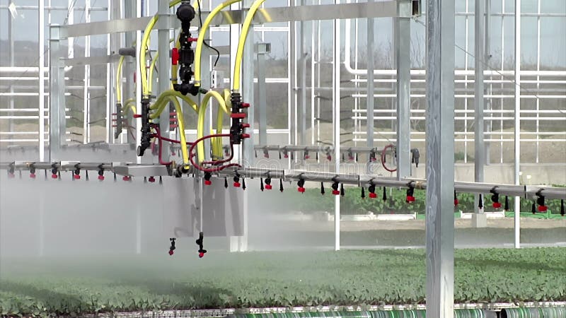 Robotic System for Watering Vegetables in a Greenhouse Stock Footage ...
