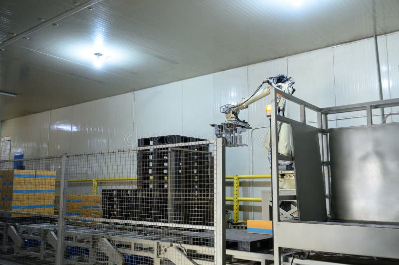 Robotic Technology in Operation at Food Processing Facility, Stacking ...