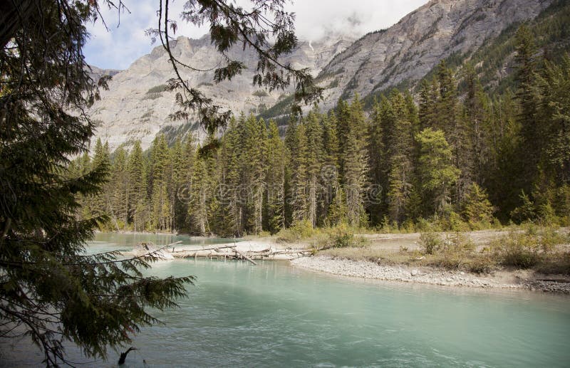 Robson River in British Columbia Stock Photo - Image of robson ...