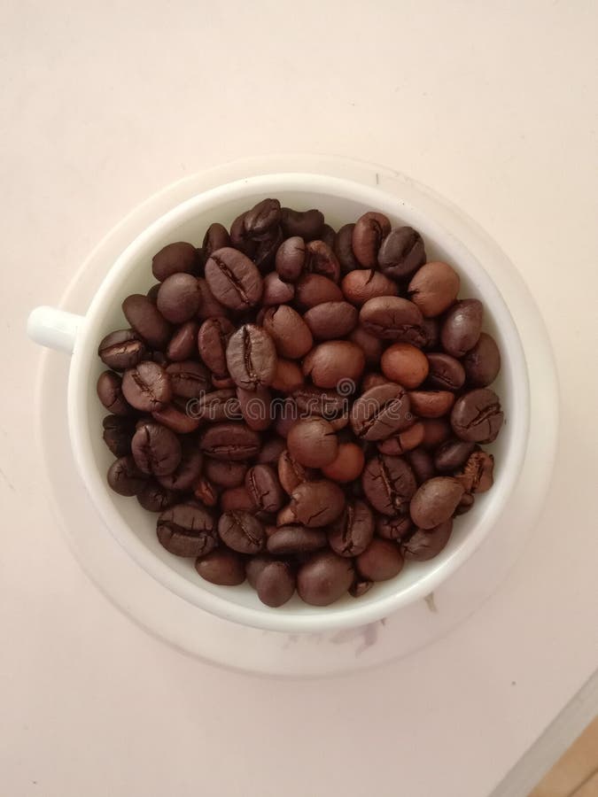 Robusta Coffee Beans Ready To Be Ground To Enjoy Stock Image - Image of ...