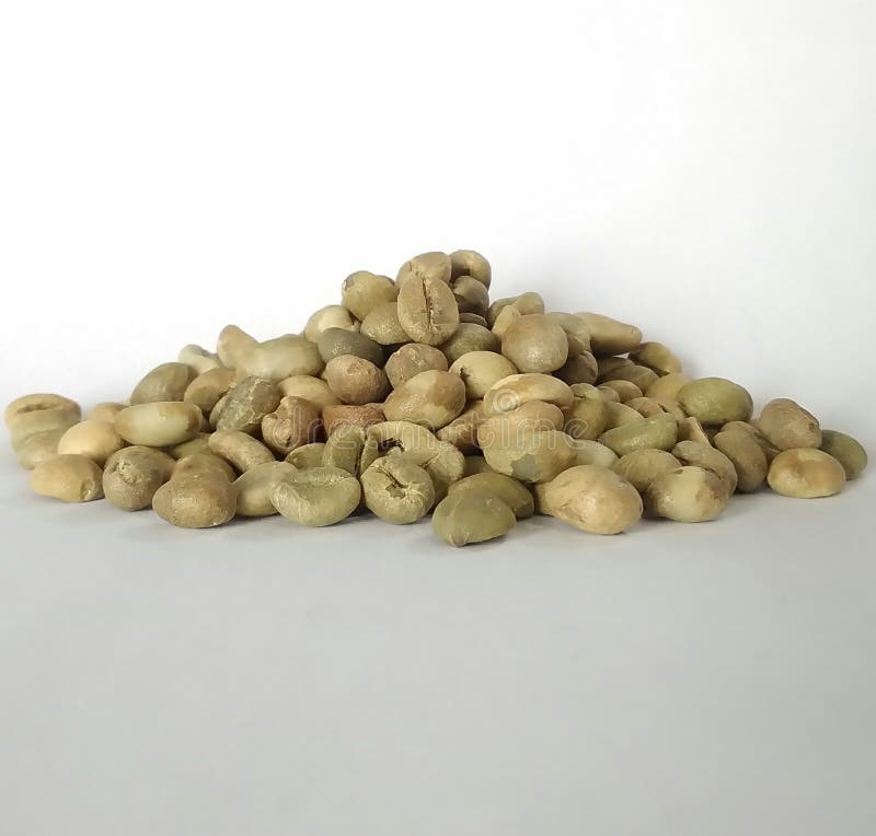 Robusta Greencoffee Bean from East Java Indonesia Stock Image - Image ...