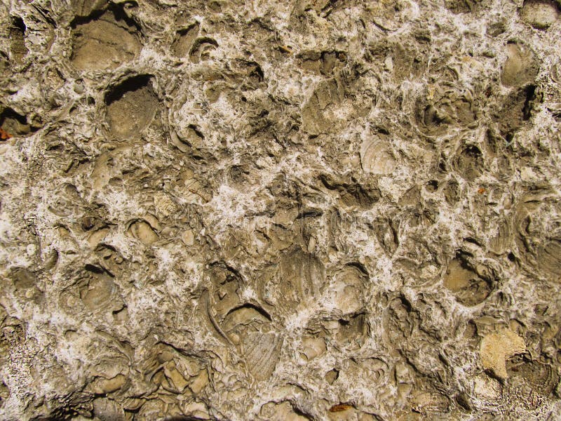 Roca de la cal imagen de archivo. Imagen de descascarado - 30921635