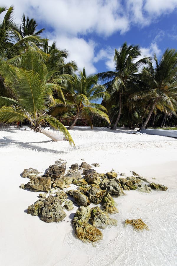 Roca en la playa imagen de archivo. Imagen de playa, océano - 17669725
