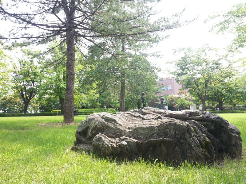 Roca En Medio Del Jardín De La Hierba Foto de archivo - Imagen de cubo ...