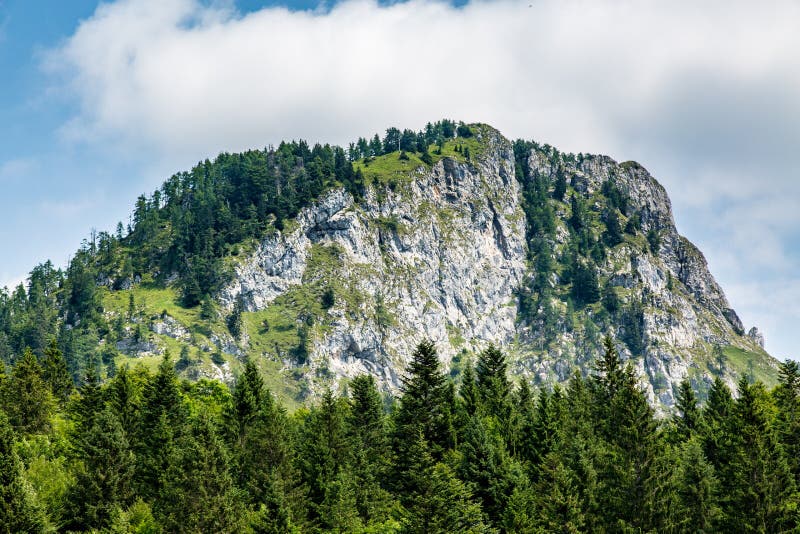 Roca grande imagen de archivo. Imagen de hermoso, travieso - 60175669