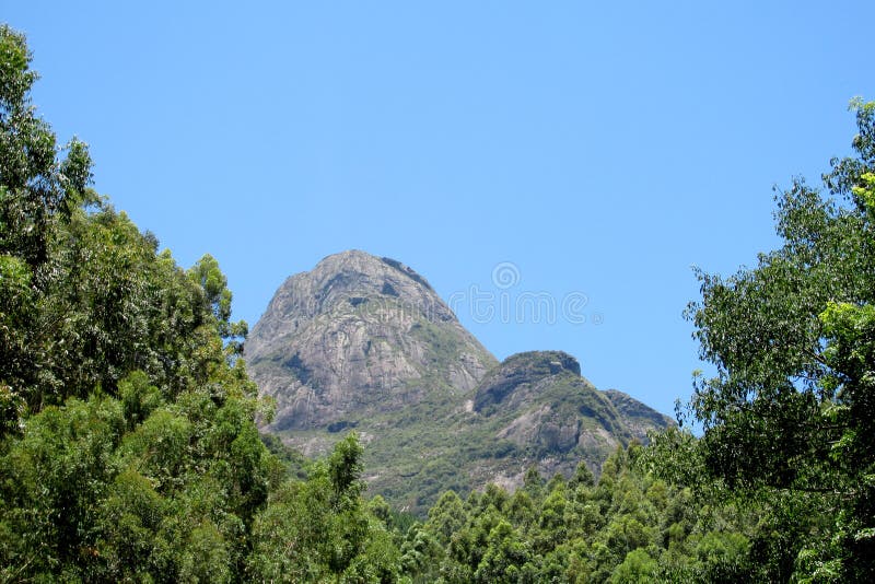 Roca Lisa Hermosa En La Selva, El Brasil Foto de archivo - Imagen de ...