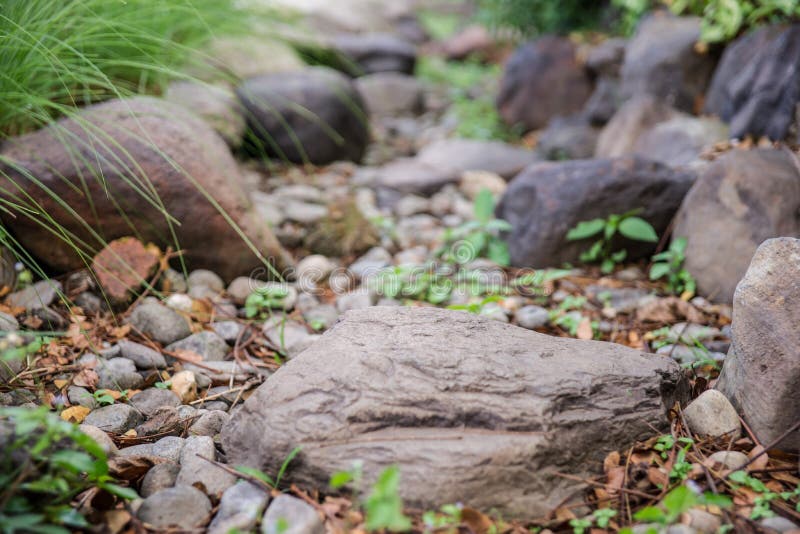 Roca y grava foto de archivo. Imagen de secuencia, fauna - 32394114