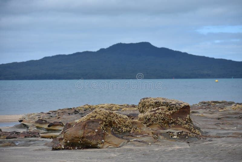 Lapas en una roca imagen de archivo. Imagen de marea - 71327589