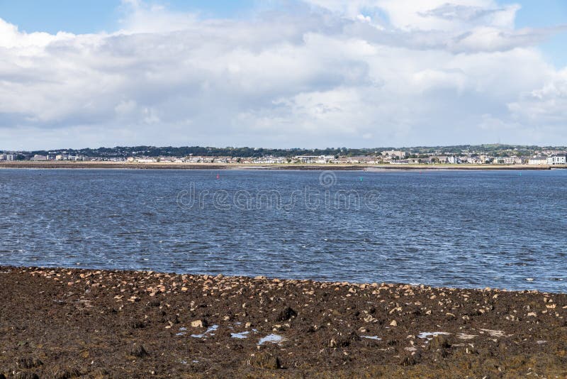 Rocas Y Algas En La Isla De Hare Con La Ciudad De Galway Como Fondo ...