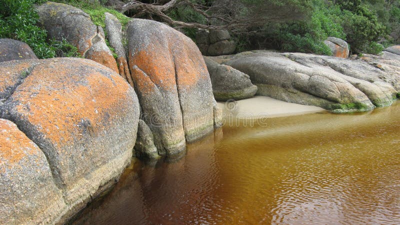 Rocce del fiume di marea immagine stock. Immagine di australia - 6582095