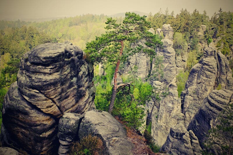 Rocce Dell'arenaria in Repubblica Ceca Immagine Stock - Immagine di ...
