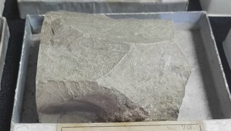 Rocce Sedimentarie Della Selce Cornea Fotografia Stock - Immagine di ...