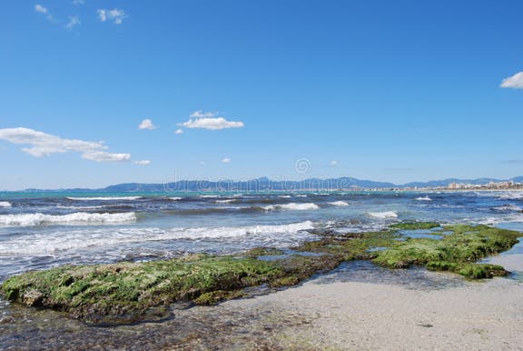 Rocce verdi fotografia stock. Immagine di spiaggia, puntello - 19154728