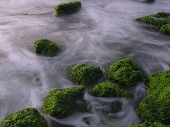 Rocce Verdi fotografia stock. Immagine di erbaccia, spiaggia - 260688